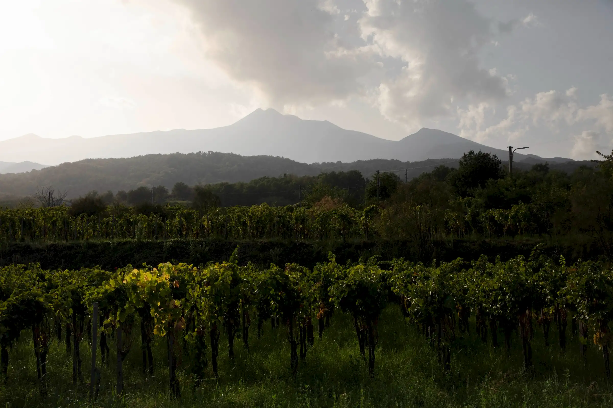 Discovering Etna: Sicily’s captivating wine region | SpecialSicily